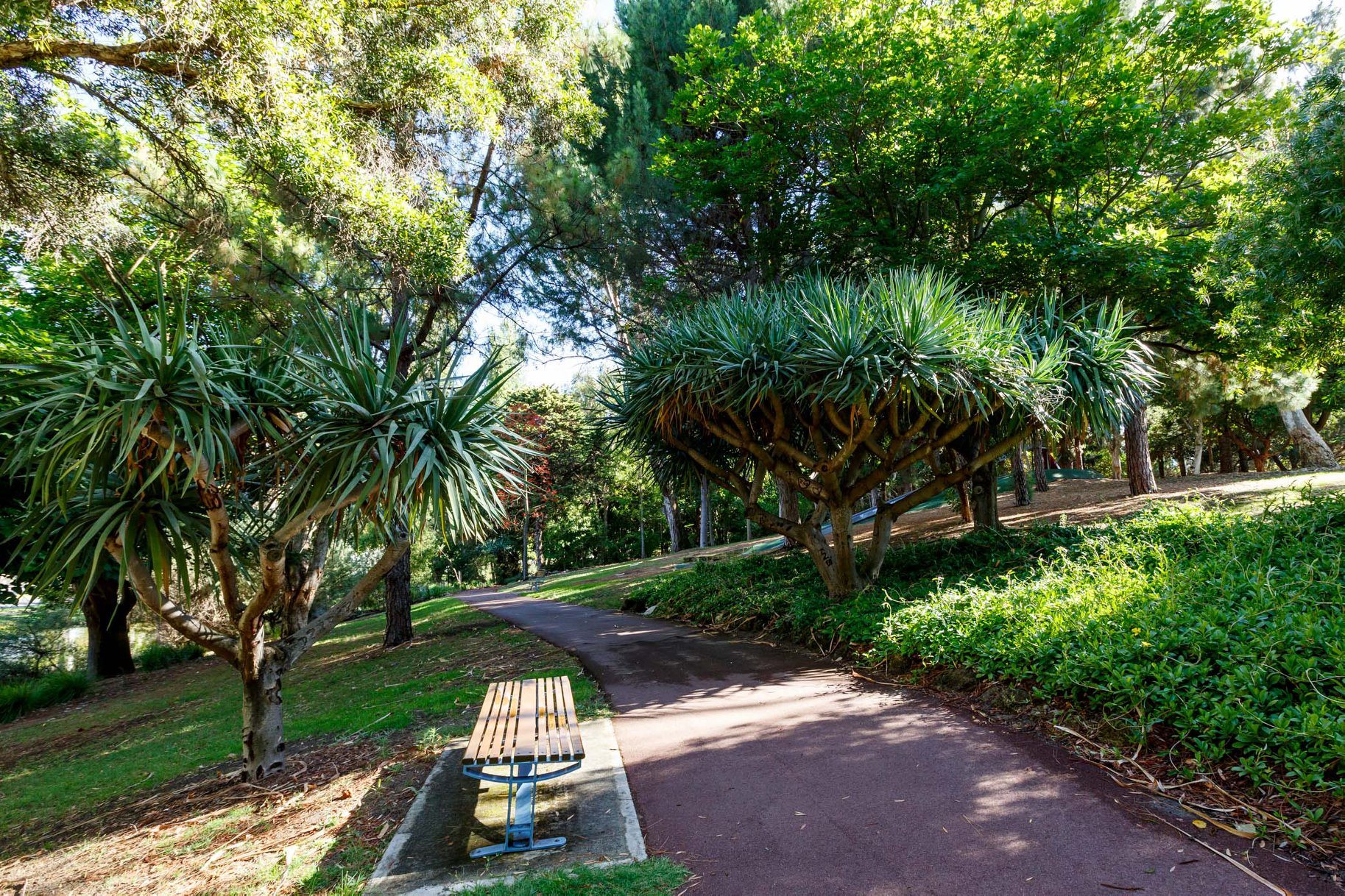 John Oldham Park Wedding
