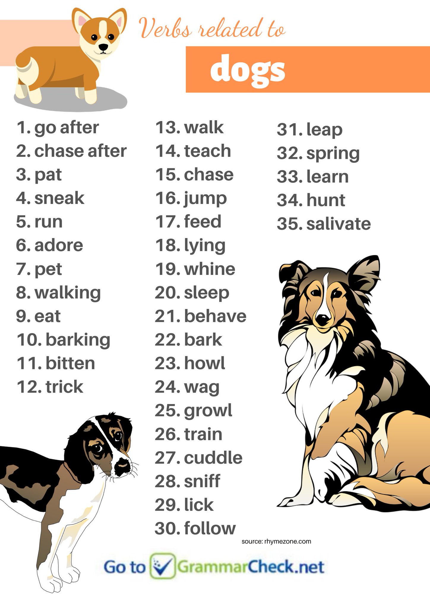 How Do I Teach My Dog Vocabulary