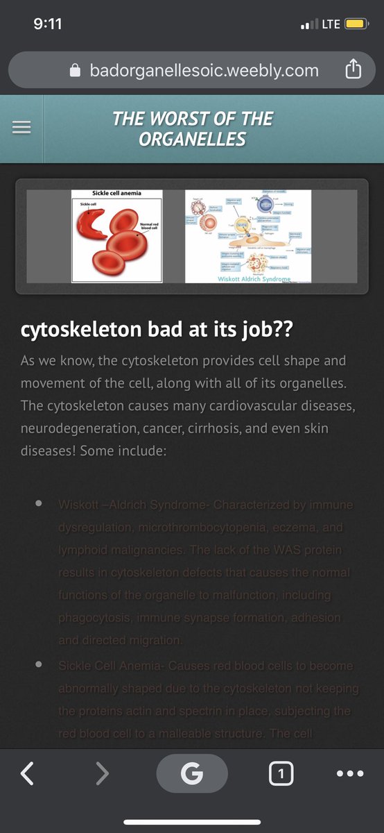 The Mightychondria 😎 (@mytochondria20) | Twitter