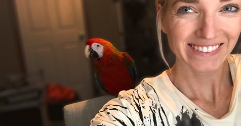 BirdTricks on Twitter: "What do you do the first day that you bring home a new parrot? What we ...