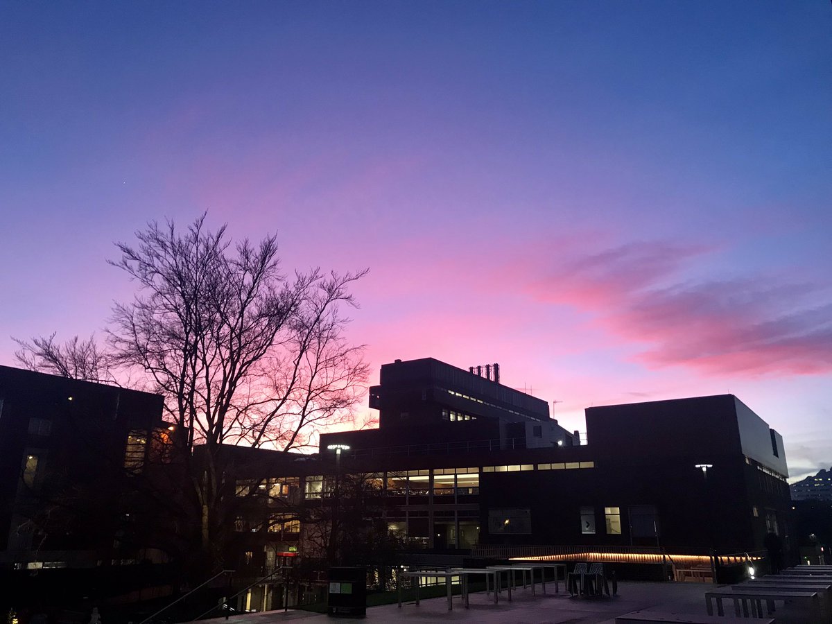 Xiaobin Jiang (@BIN_XJI) | Twitter