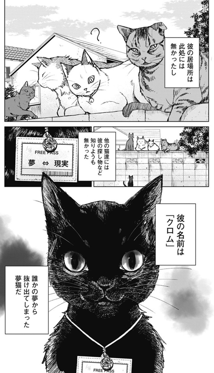 「2月22日は「猫の日」という事で、恒例の過去作「夢猫ハ闇夜ニ潜ル」のリンクと冒頭を貼っておきますー 」兎屋まめ🐰mame