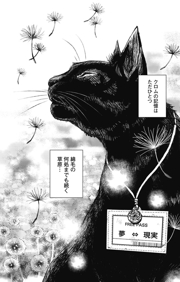 「2月22日は「猫の日」という事で、恒例の過去作「夢猫ハ闇夜ニ潜ル」のリンクと冒頭を貼っておきますー 」兎屋まめ🐰mame