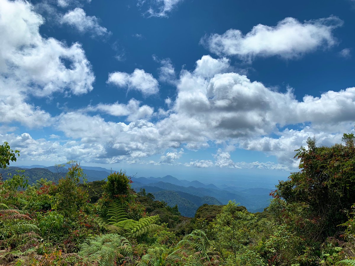 今日はふつうの景色を 笹森トモエ@サキュステ総集編3発売中👿 @sasamomi