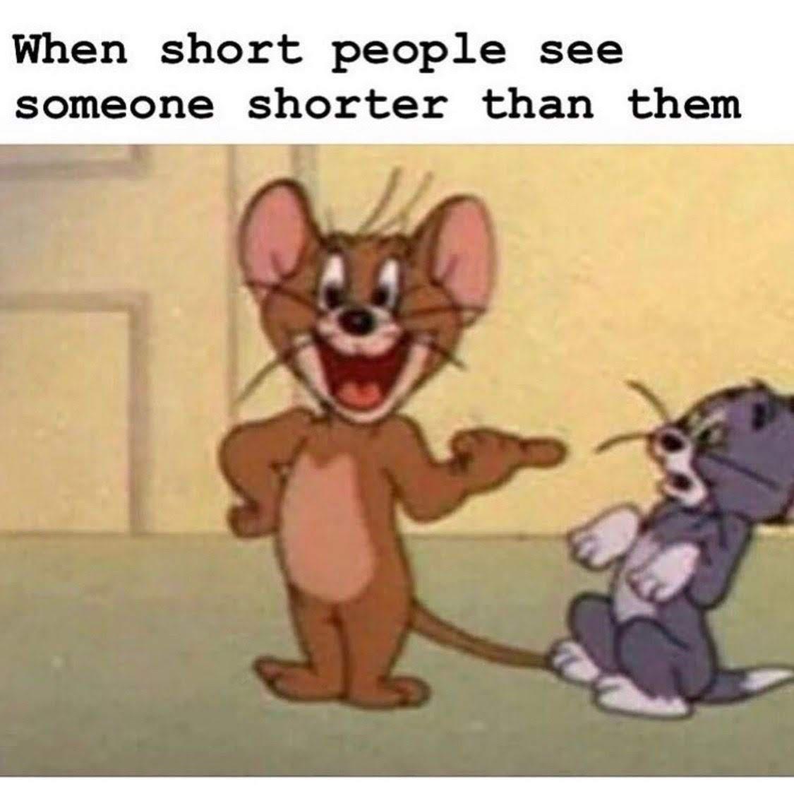 Short People Memes