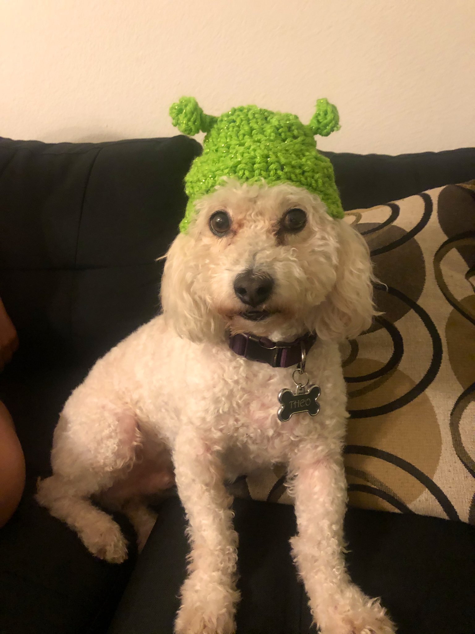 on Twitter: "theo looking mighty #shrexy https://t.co/KhEx7CoPmz" / Twitter