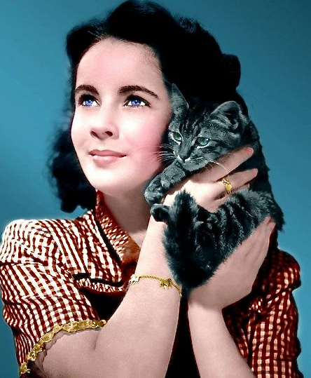 Elizabeth Taylor Lassie
