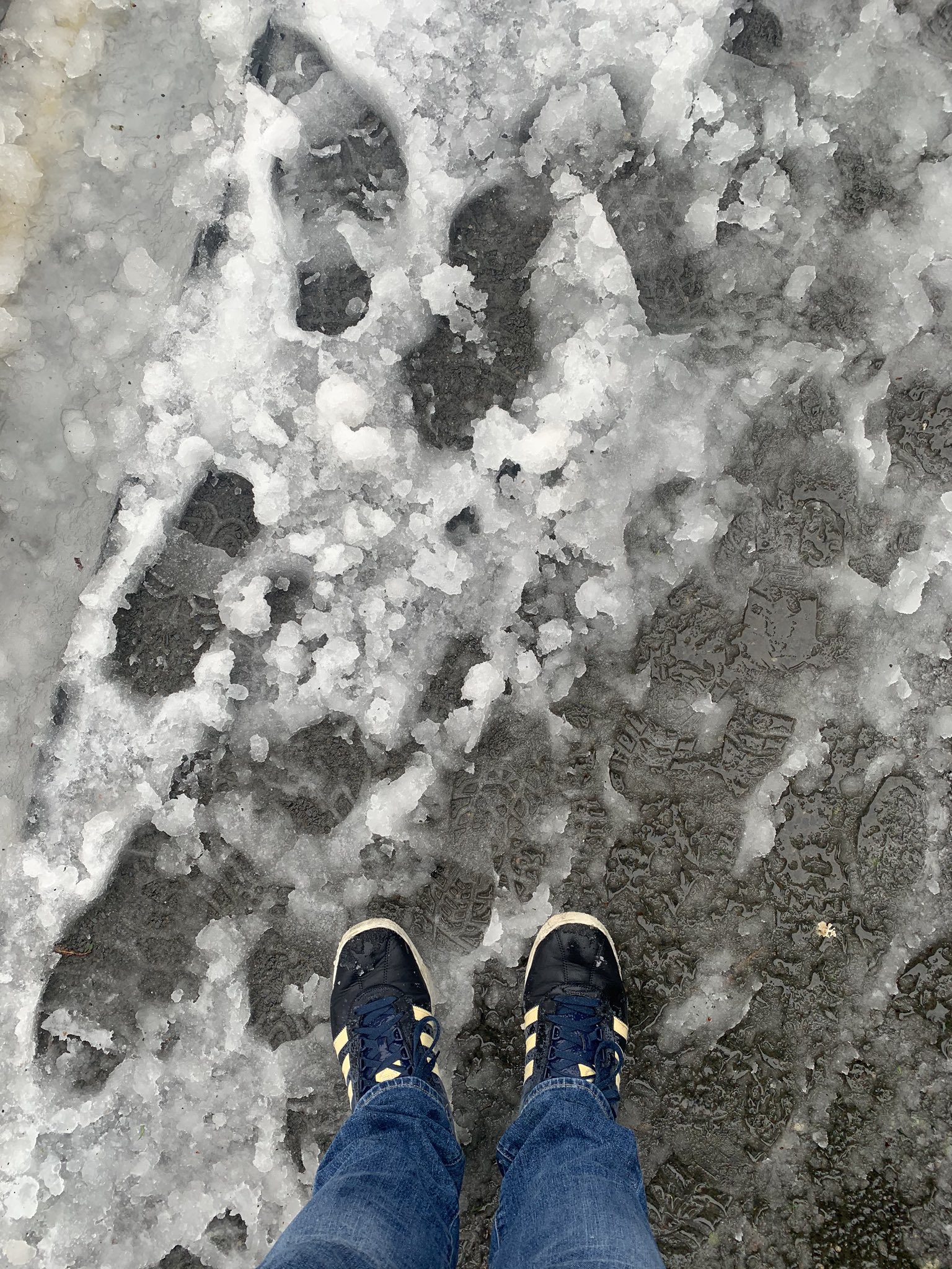 Overdressed For Winter