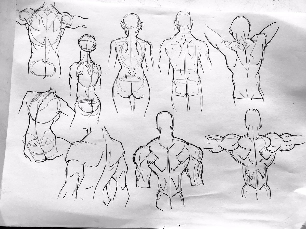 「Back muscles study 」Kofi Ofosuの漫画