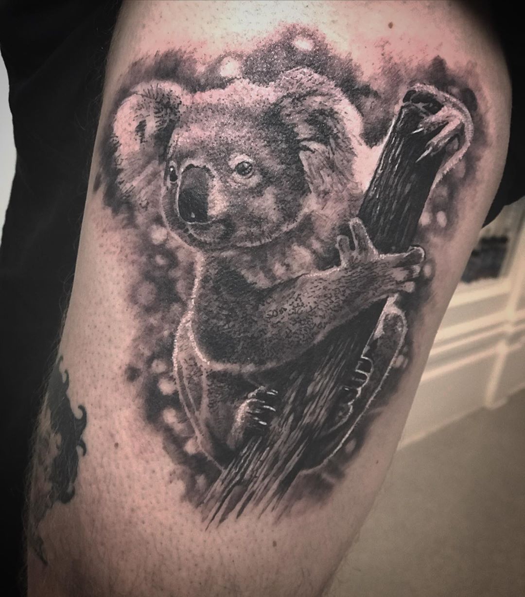 Koala Head Tattoos