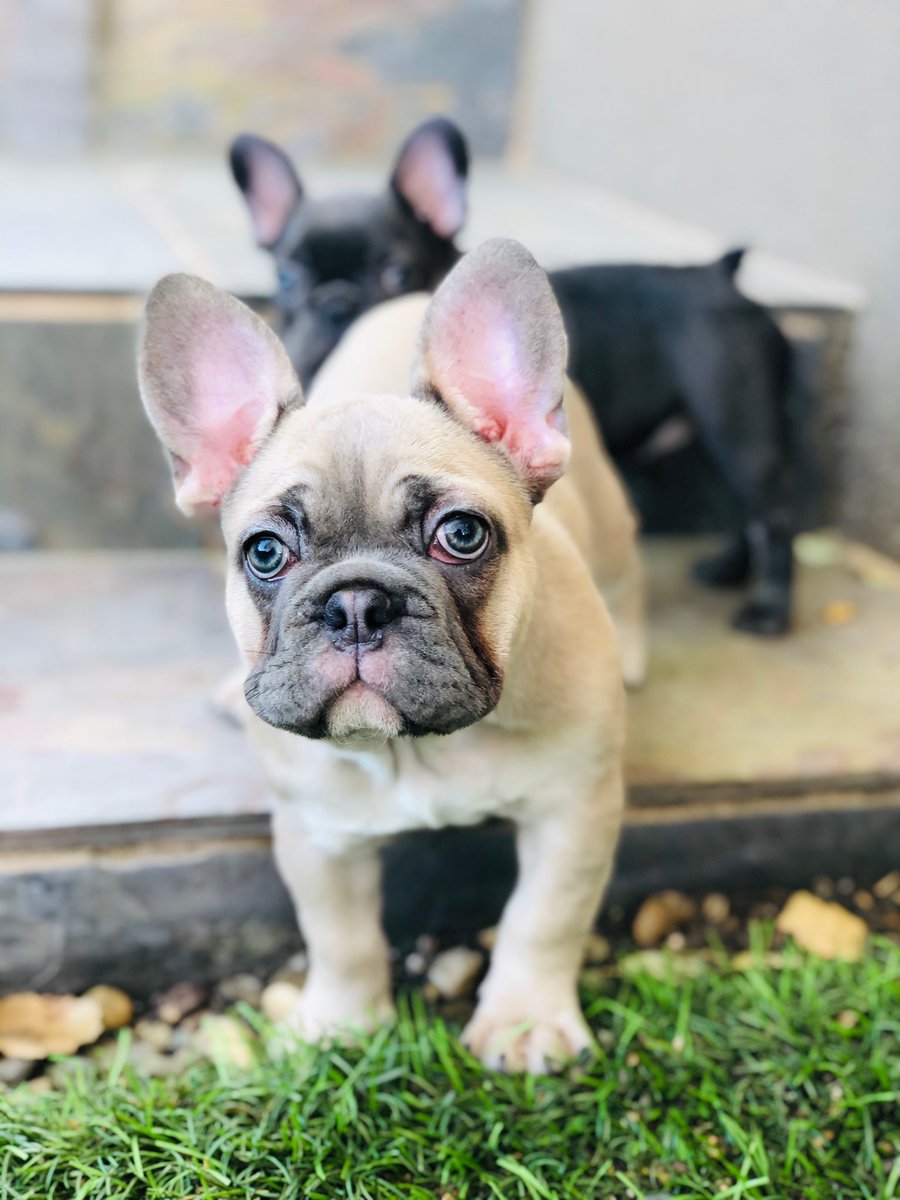 Khuda Bux Samejo (@KhudaBuxSamejo2) | Twitter