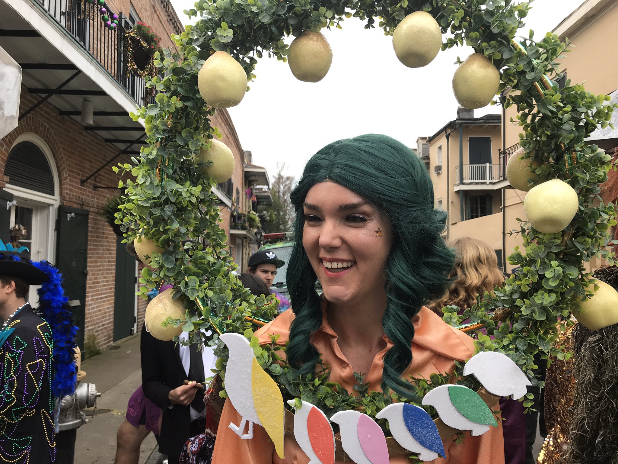 Partridge Family In A Pear Tree