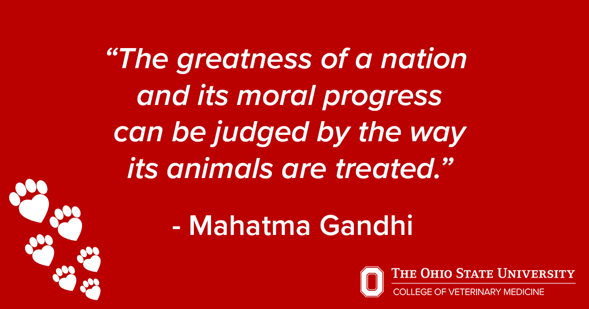 Mahatma Gandhi Animal Quotes Mahatma Gandhiji Quotes The Greatness