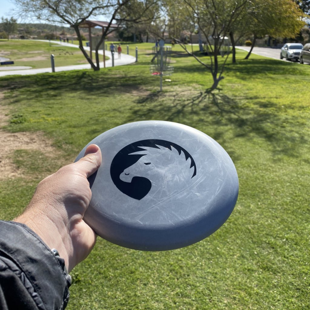 Ultimate Frisbee Dark Horse