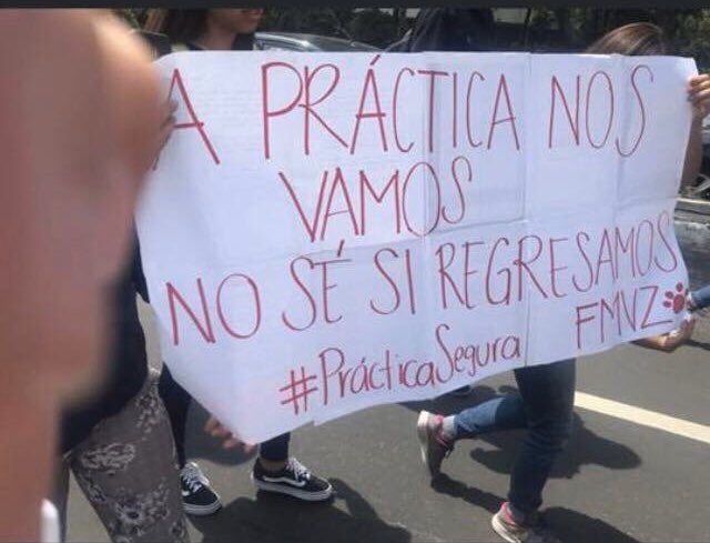 Mayra Olvera (@May_OlveraP) | Twitter