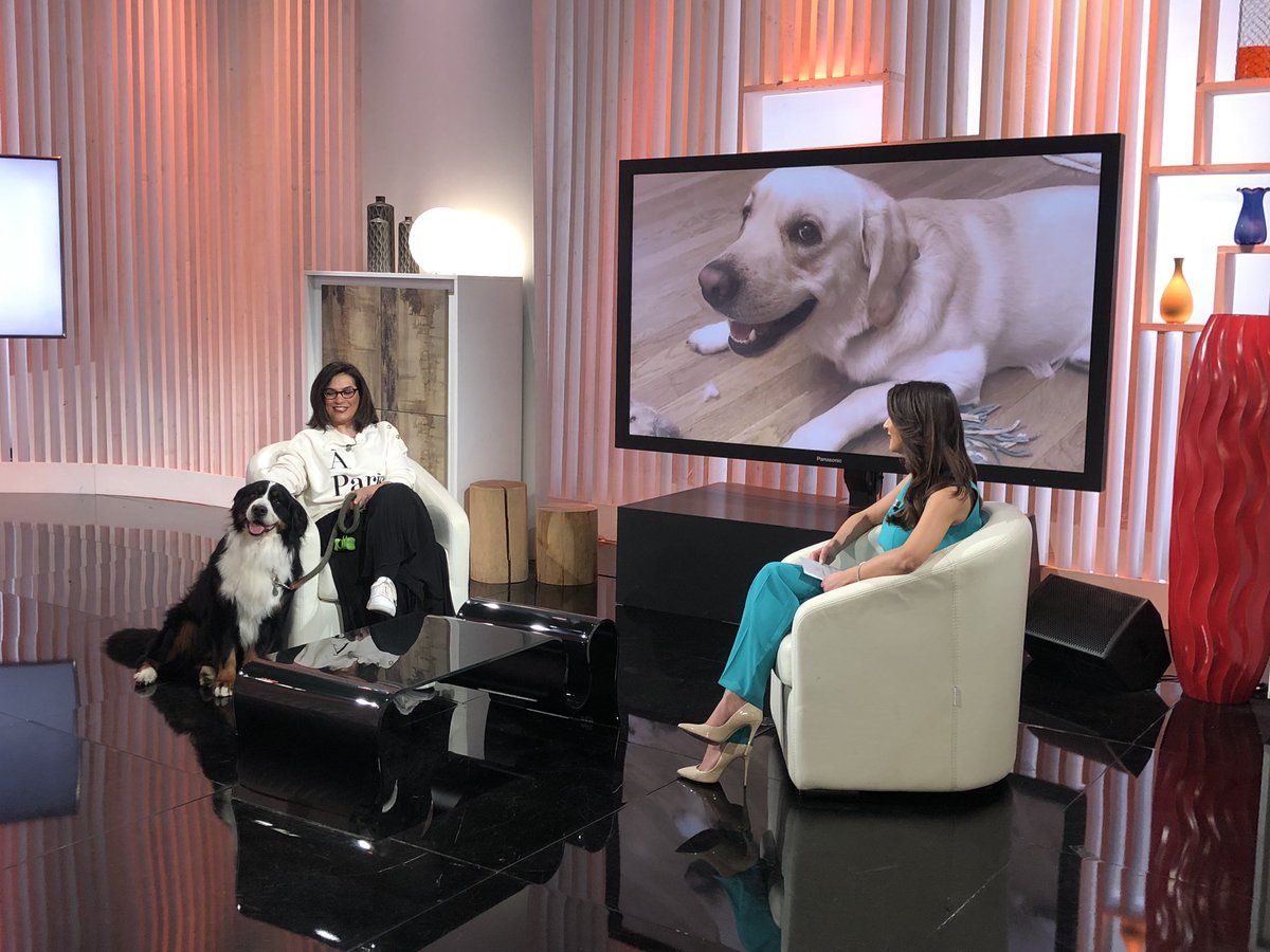 Viaggia come il Vento on Twitter: "Aspetto il video online!… https://t.co/GQ4ehURzRx"