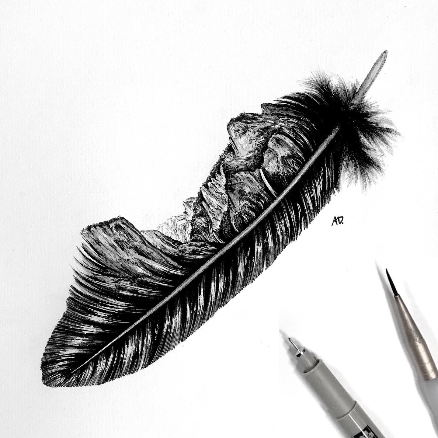 Raven Feather Drawing