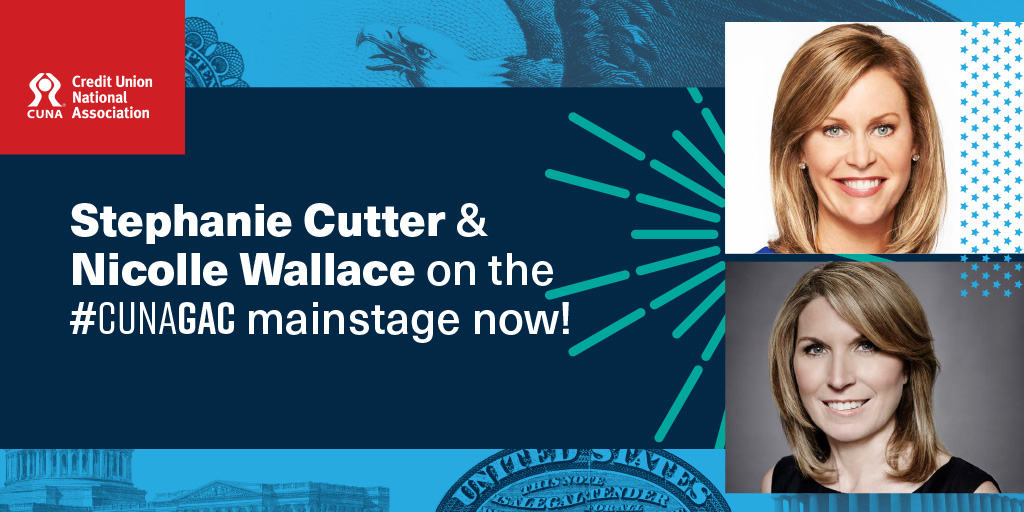 Stephanie Cutter Obama