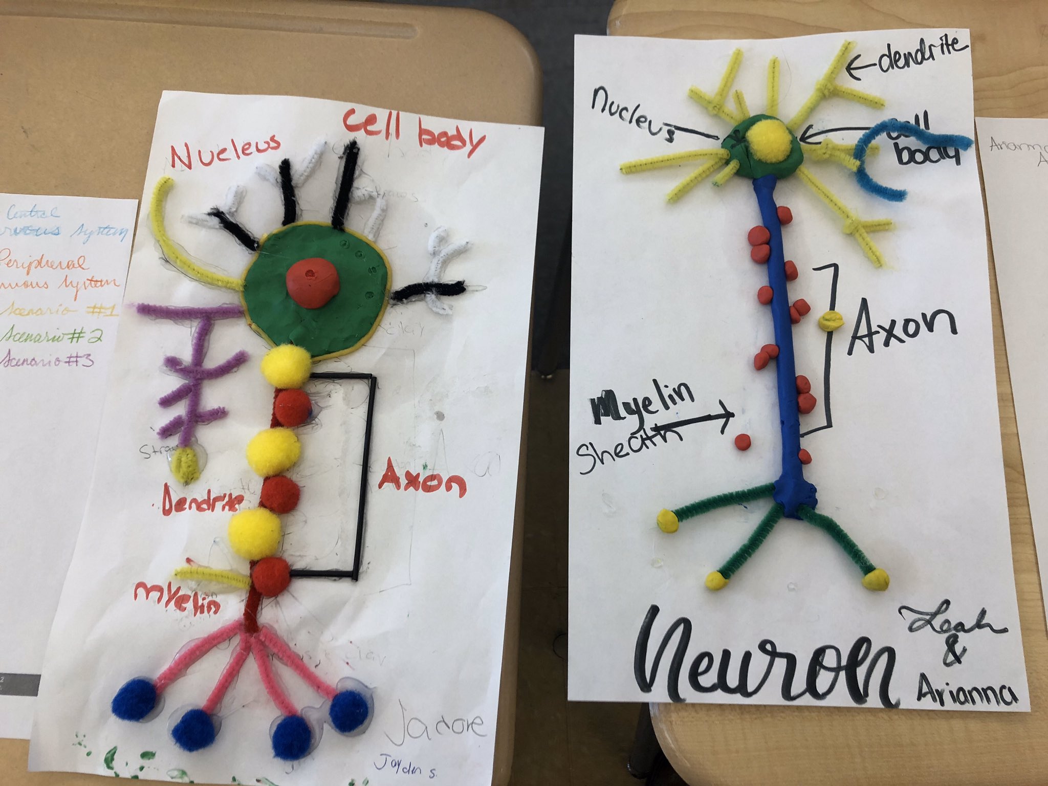 Neuron 3d Model Project
