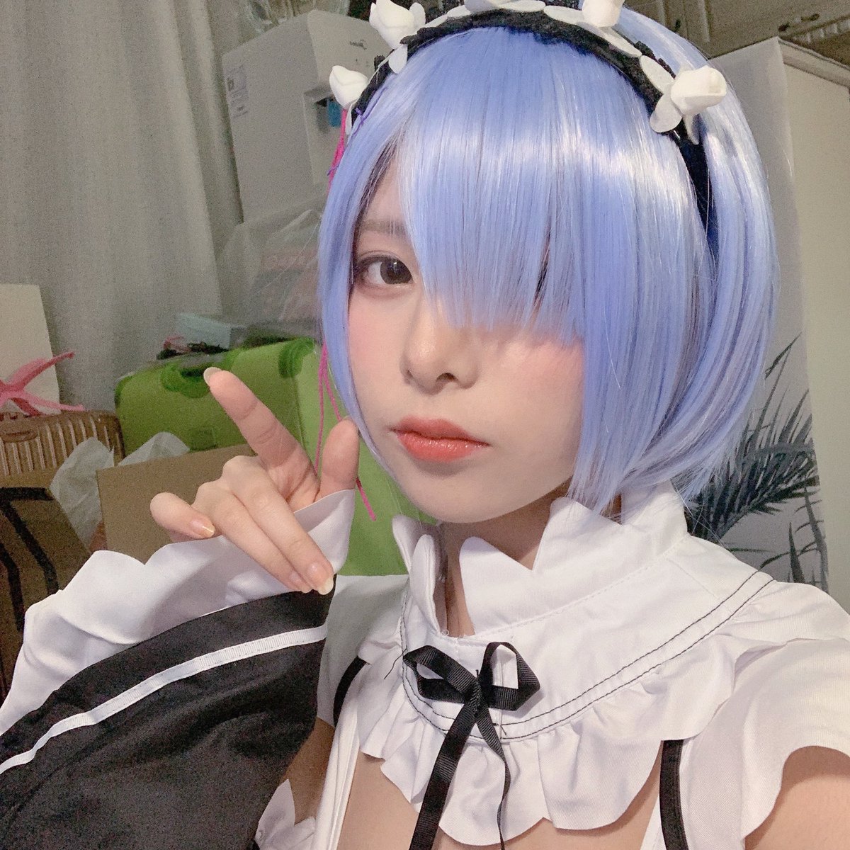 Twoucan - Nikulli (@nikulli)