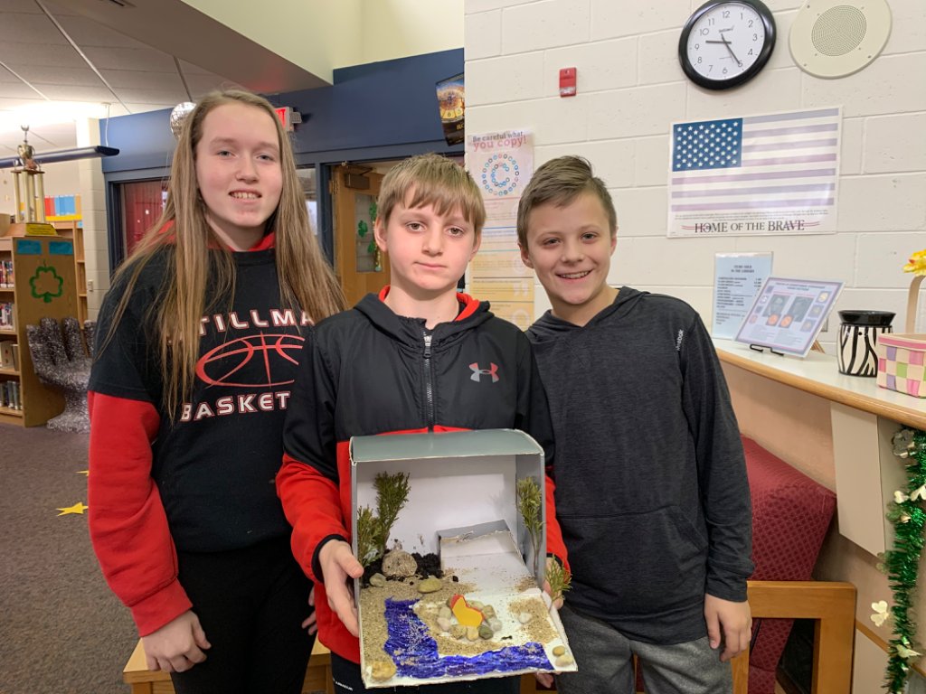 Hatchet Brians Shelter