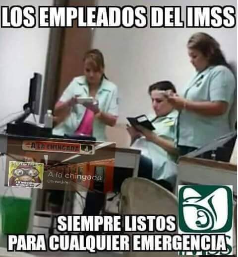 Memes Del Imss