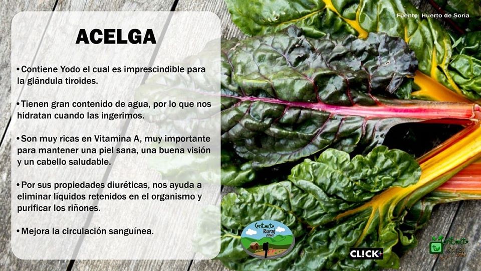 TV Contacto Rural CDMX on Twitter: TV Contacto Rural CDMX on Twitter: