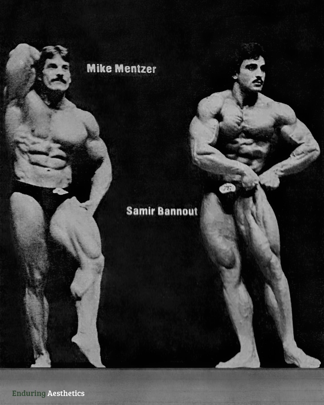 Samir Bannout Back