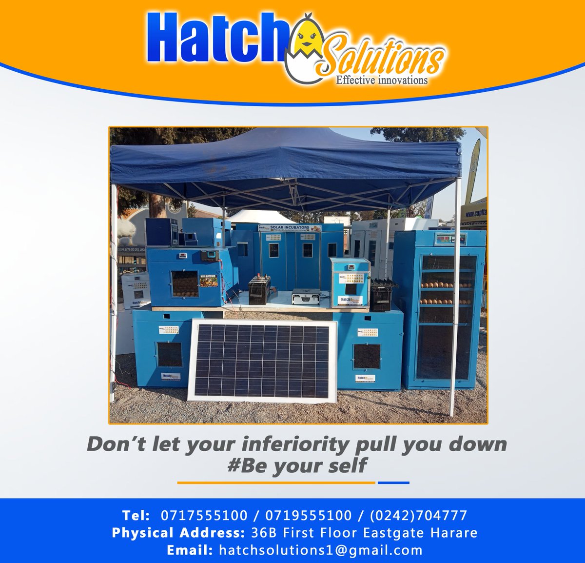 Hatch Solutions Zim (@solutions_hatch) | Twitter