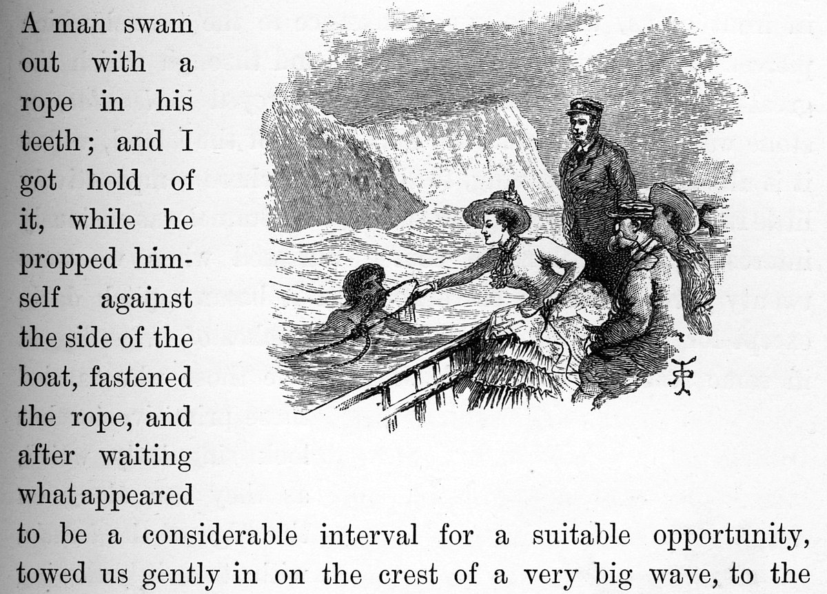 About the Museum | Bexhill Museum