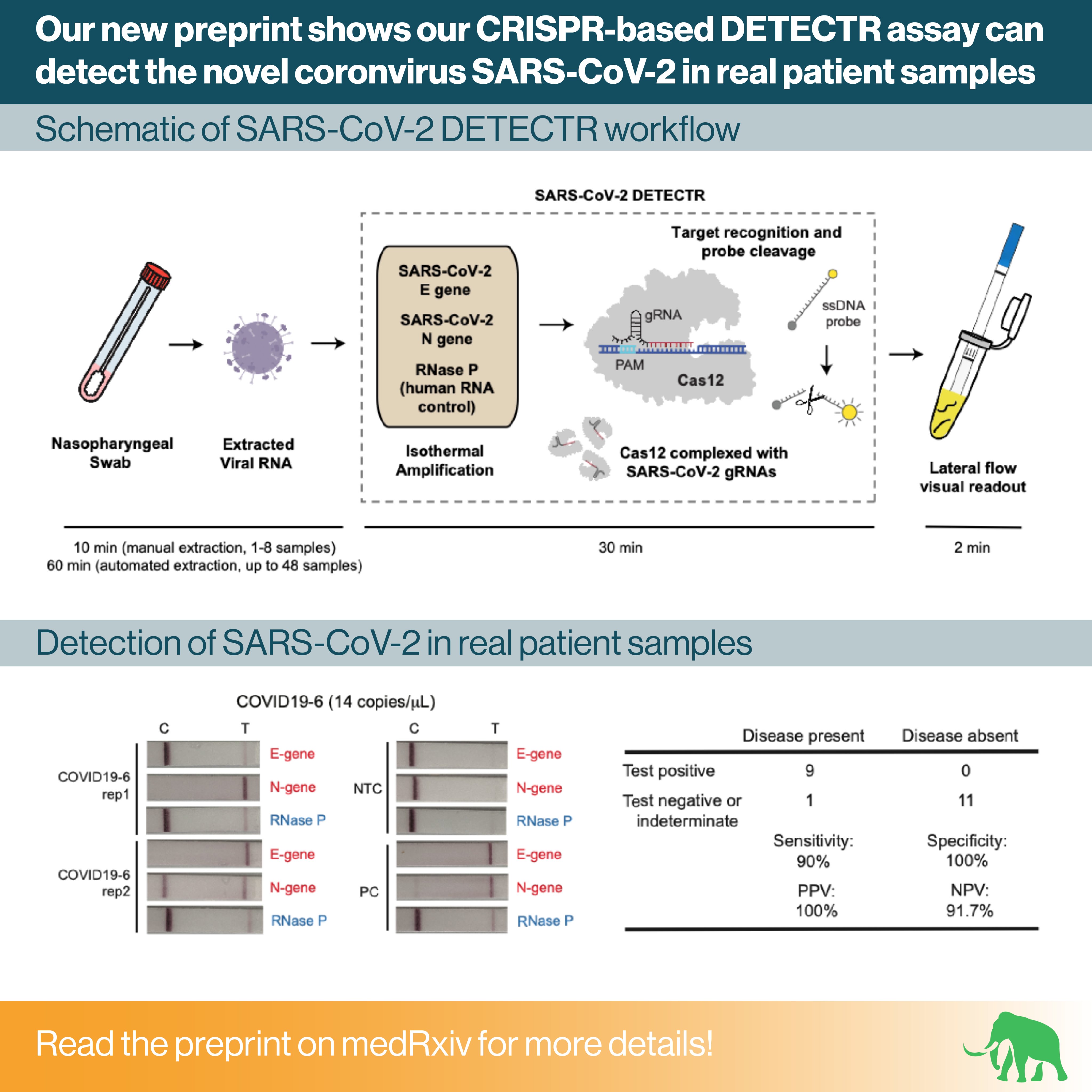 Nathan Chen (@nathanwchen) / Twitter