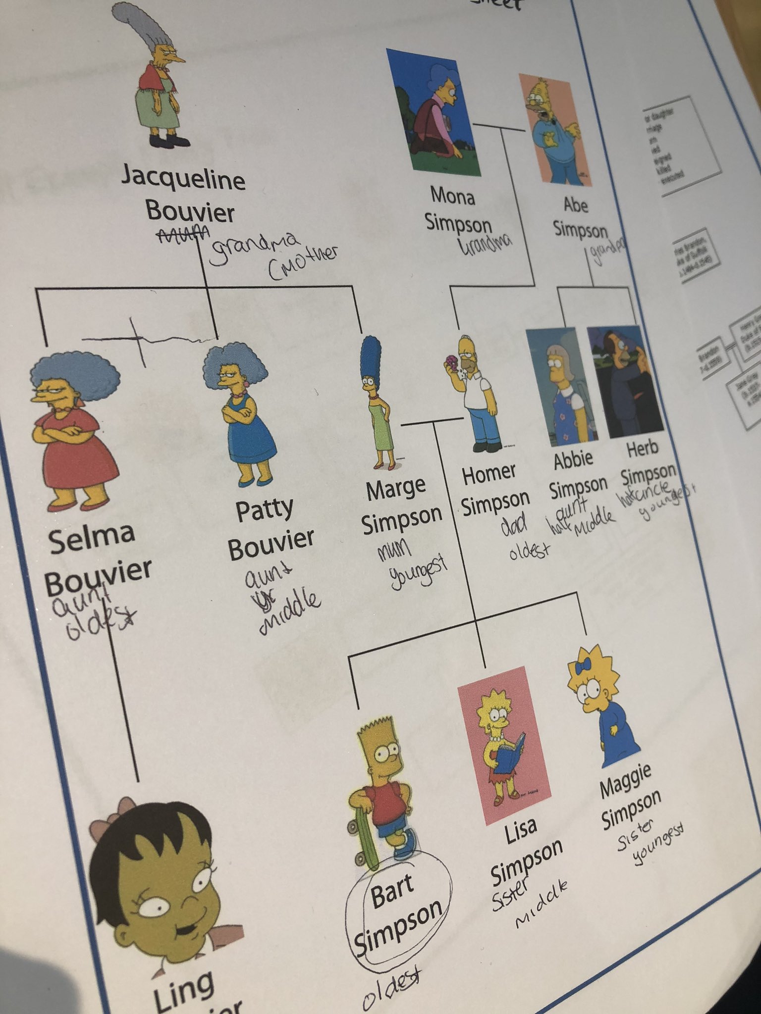 Phoebe Comiskey on Twitter: "Our project this week in Succeed in ...