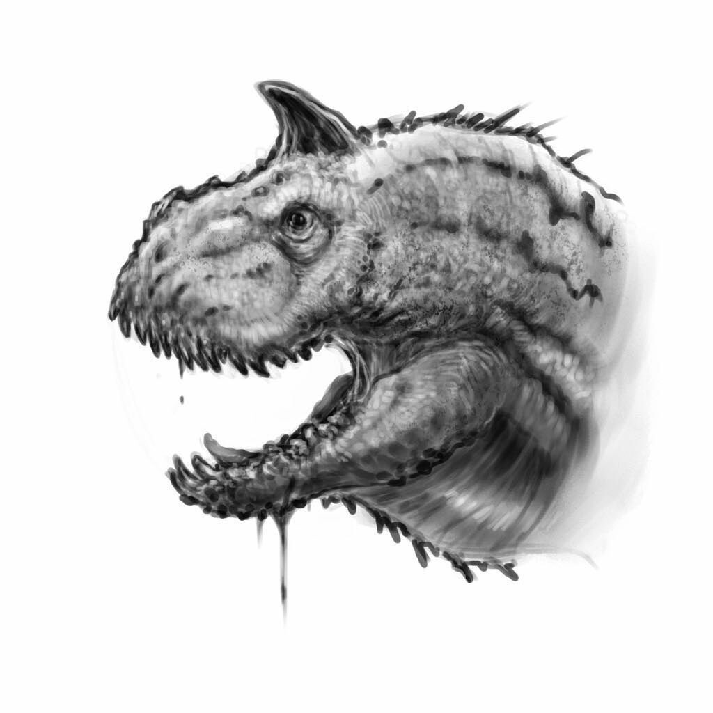 Realistic Dinosaur Head Drawing