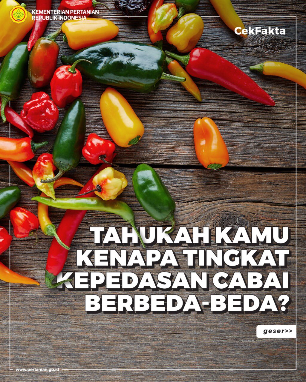 Kata Kata Cabe Cabean