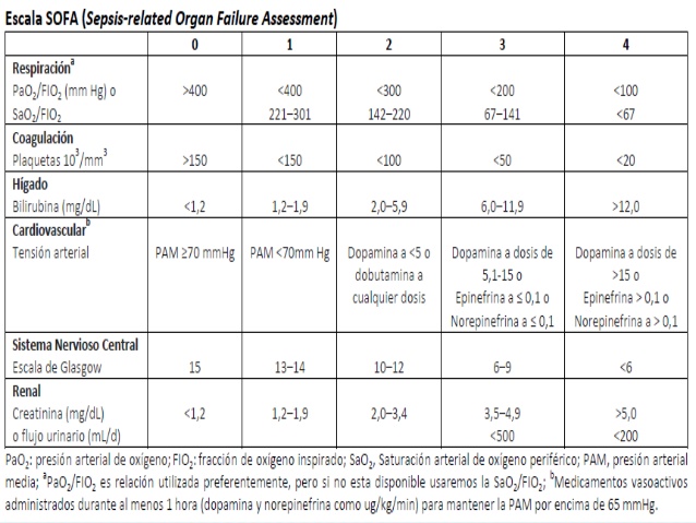smagā mašīna partija Precizitāte escala de sofa raķete Līgums sadraudzība