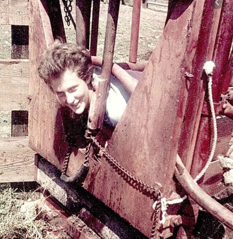 Temple Grandin Inside Squeeze Machine