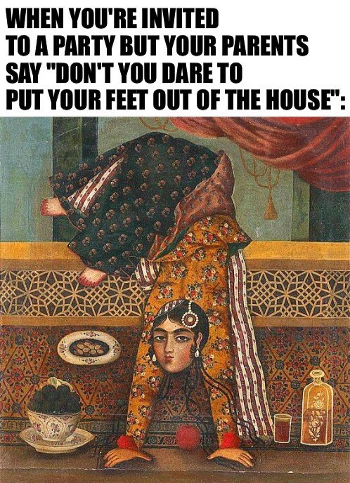 Persian Party Memes Persian Cat GIFs | Tenor