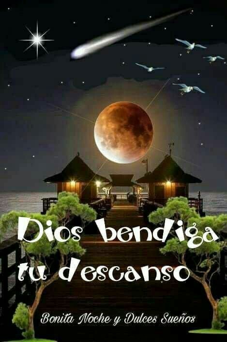Imagenes Bonitas De Dulces Suenos Geniales Frases De Buenas Noches