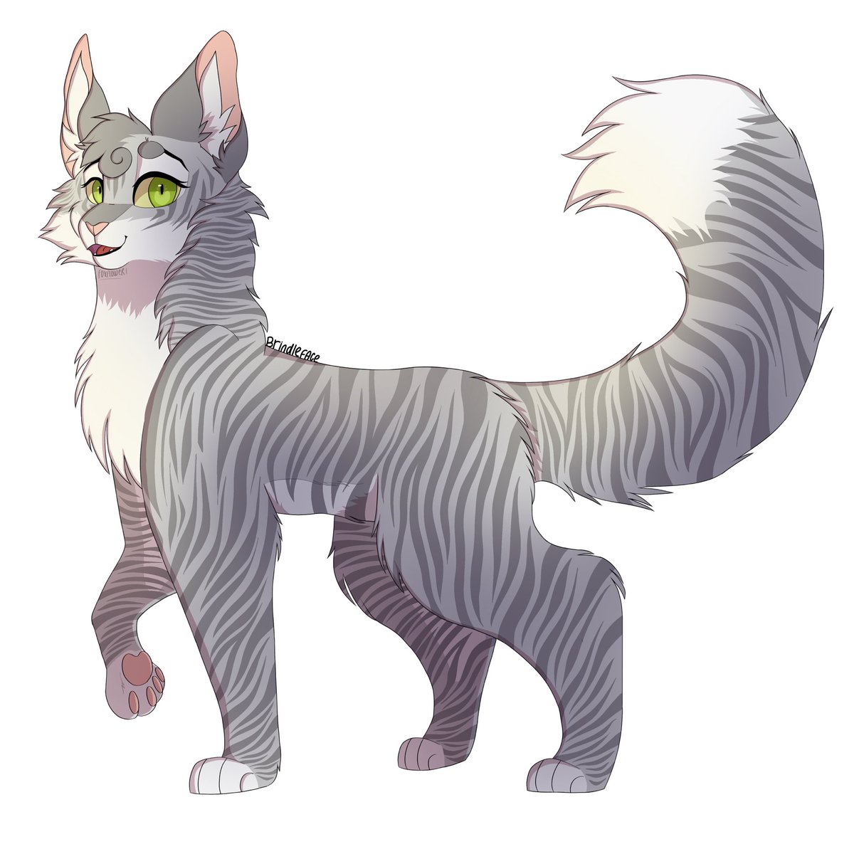 Warrior Cats Brindleface