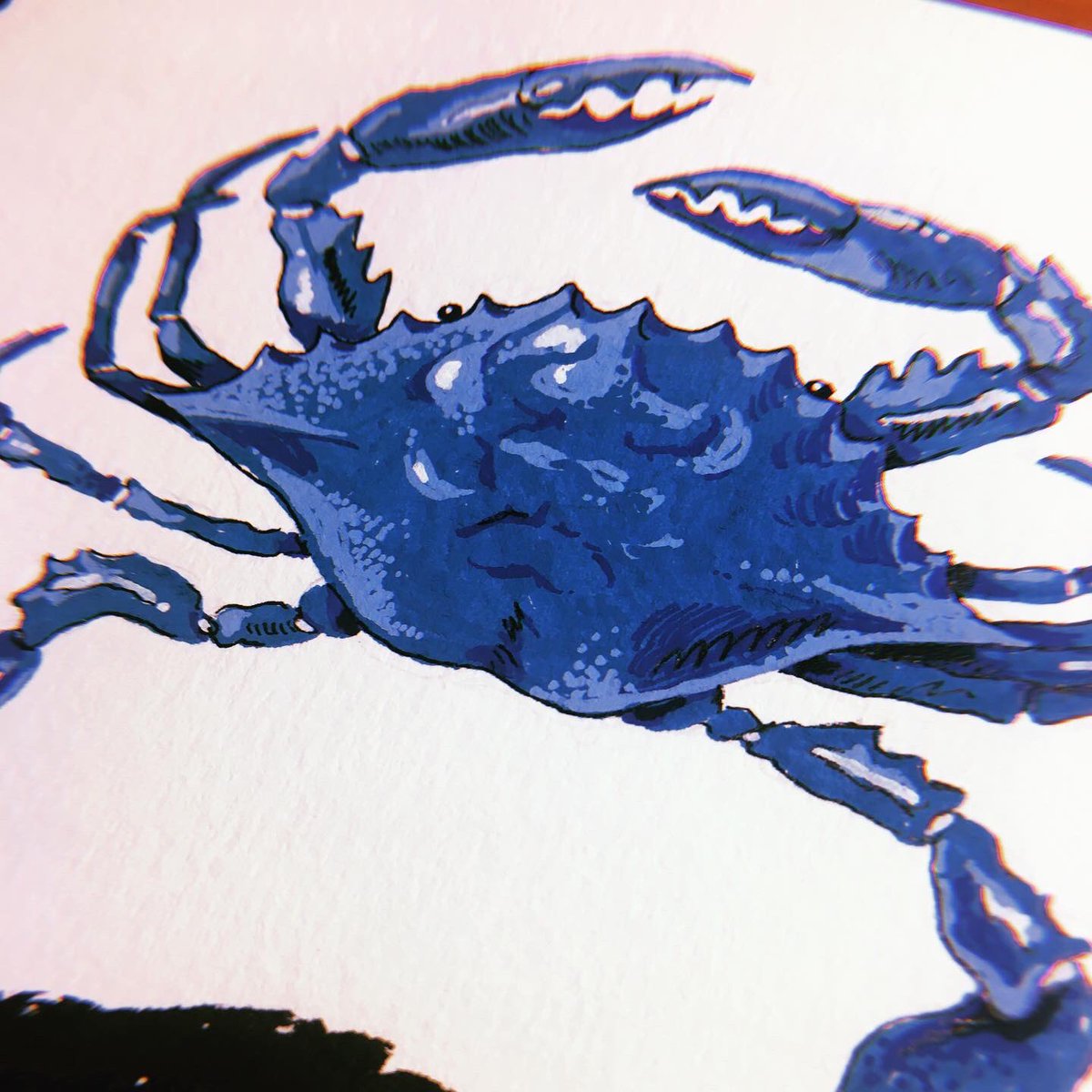 Twoucan - 🔪choo™🔪 (@chootalks)