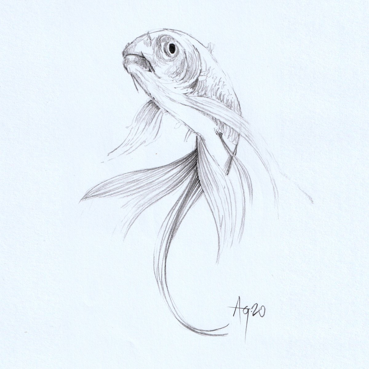 Goldfish Pencil Art
