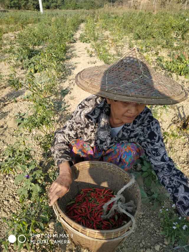 Yin Min Htike Travel, Ngapali Beach, Myanmar. (@TravelYin) | Twitter
