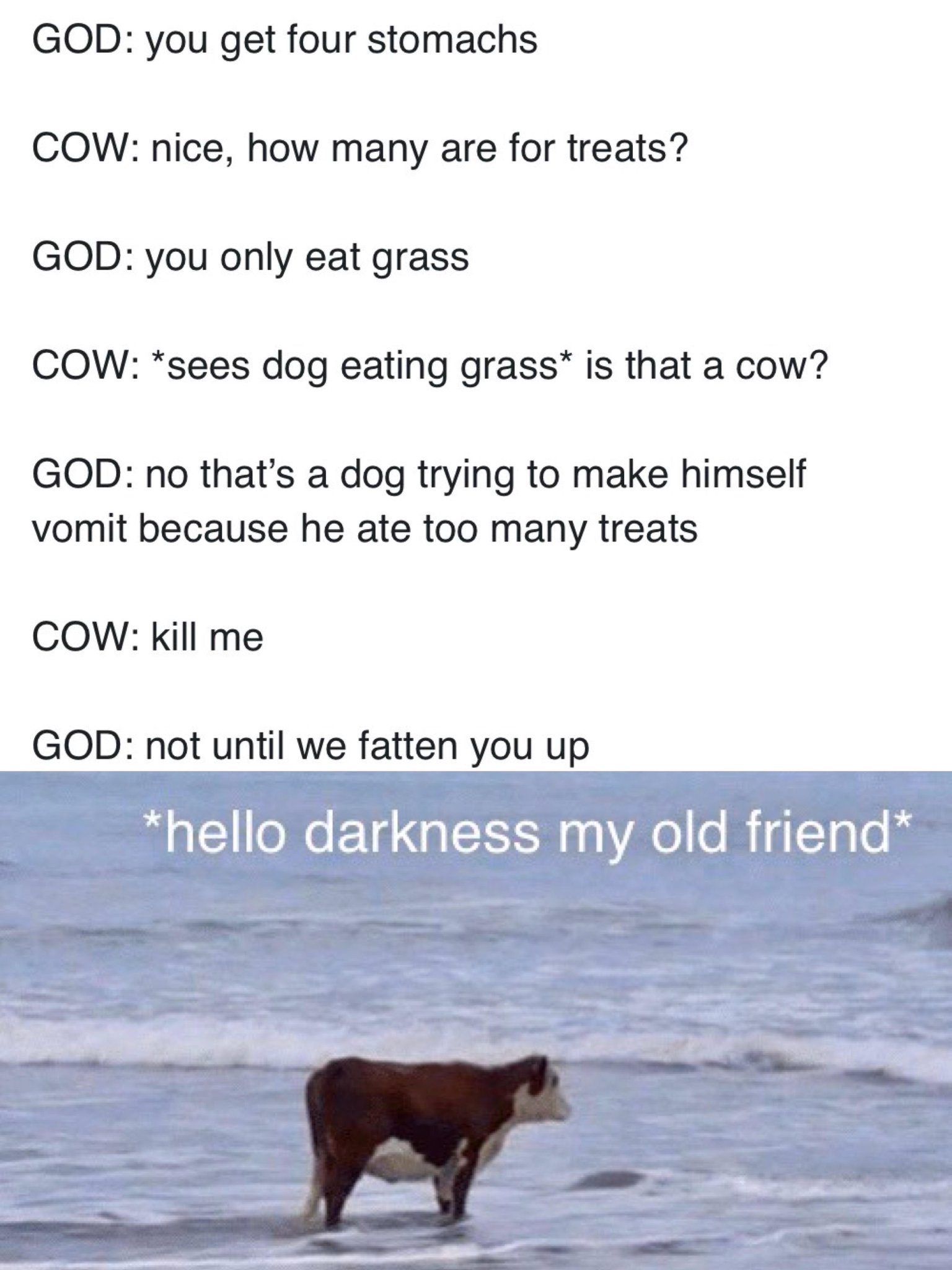 Sea Cow Memes SEA COW FACTS!! #factsyoudidntknow #facts | TikTok