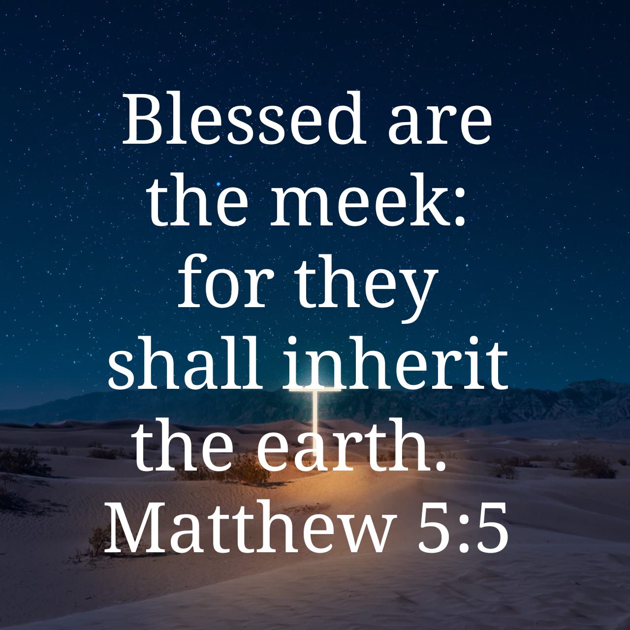Blessed Are The Meek