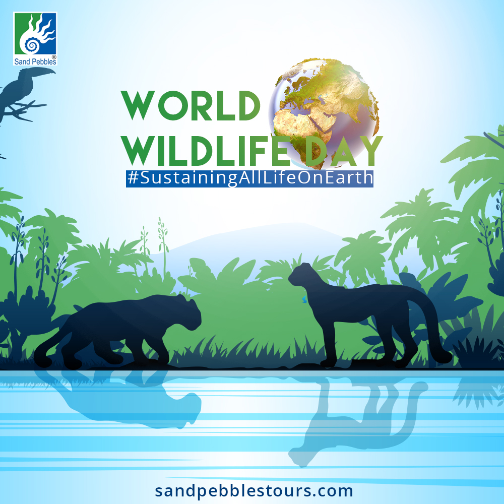 Future Animals On Earth