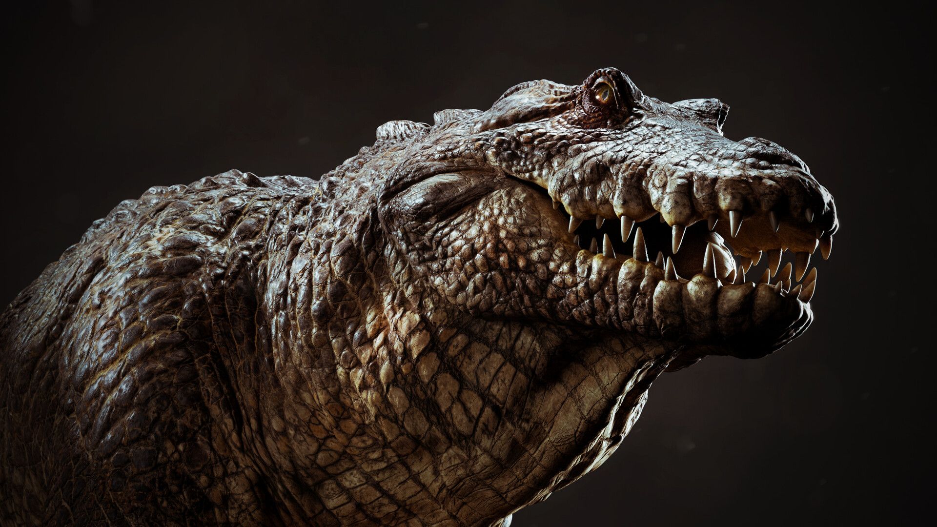 Bear Vs Crocodile