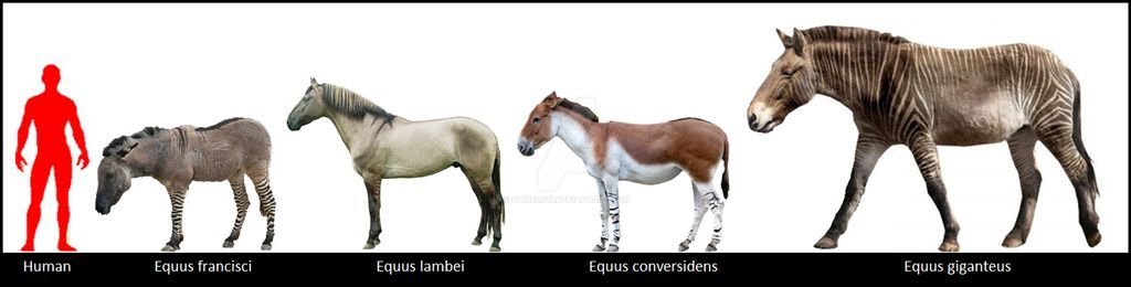 Prehistoric Horse Size