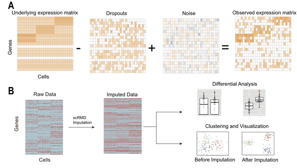 antisense. on Twitter: "scRMD: Imputation for single cell RNA-seq data via robust matrix ...