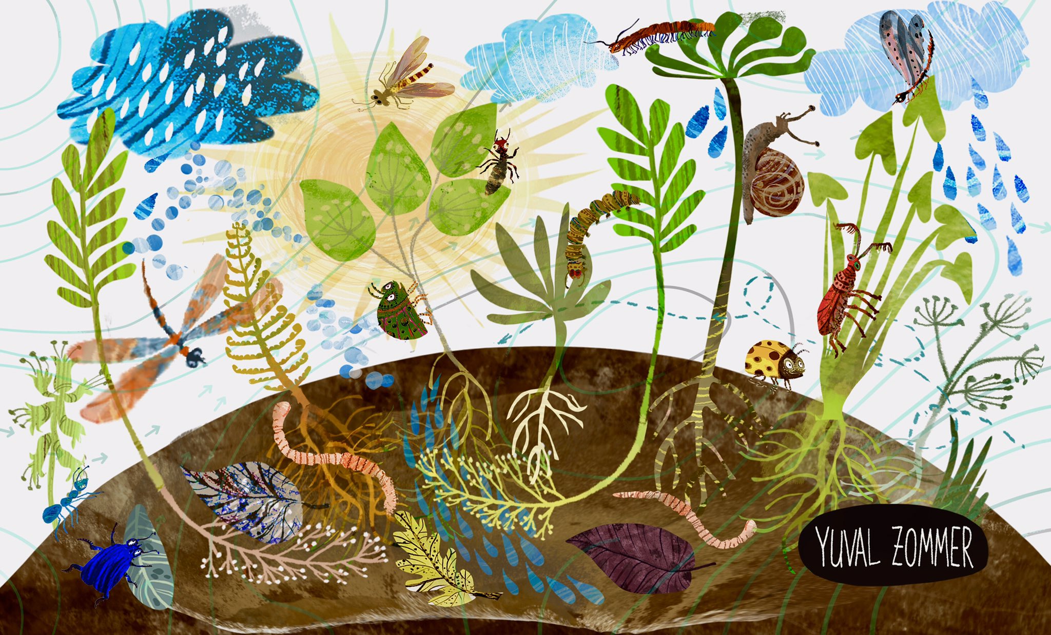 Community Of Animals And Plants