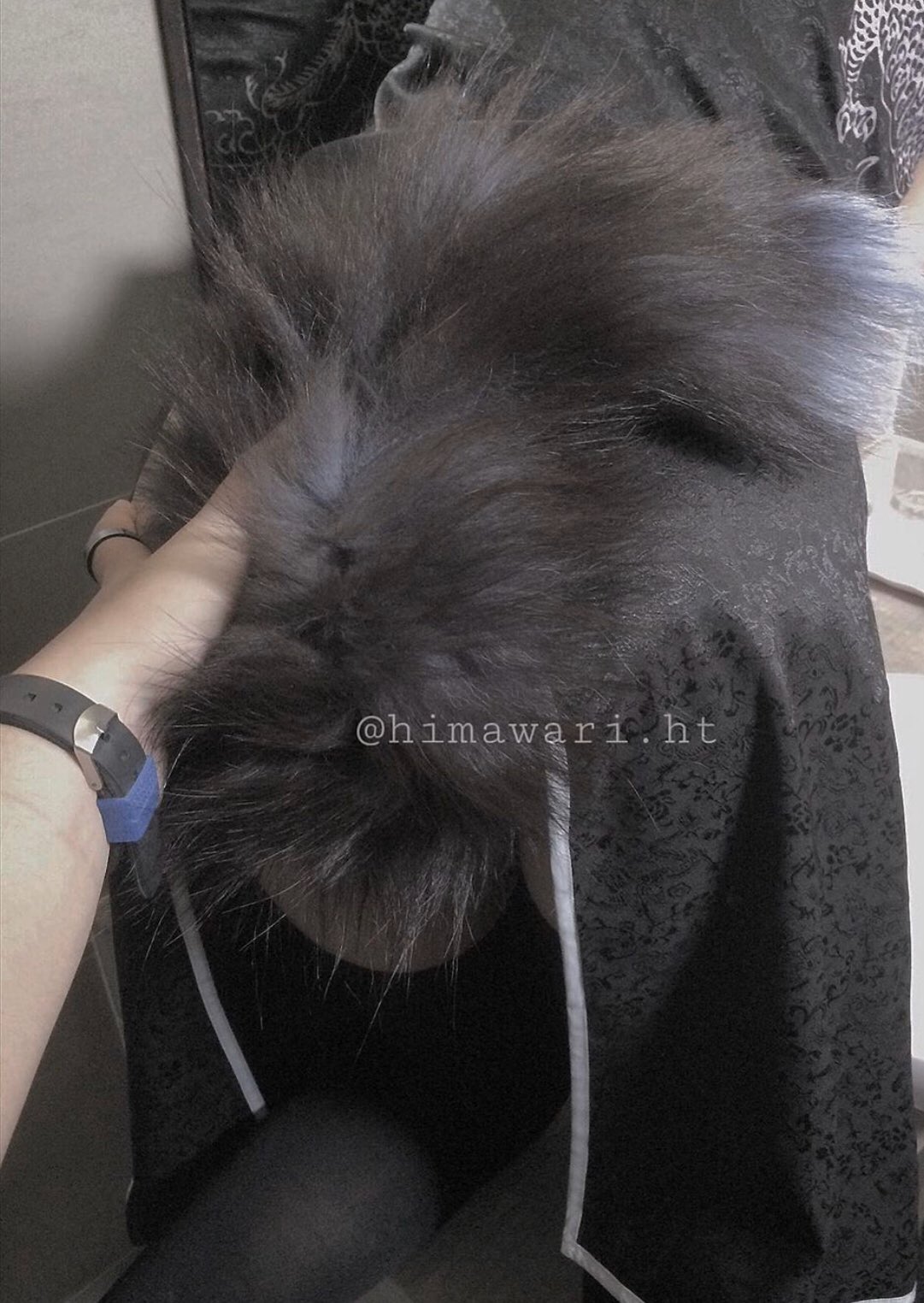 Hima on Twitter: "Đáng ra em chỉ là một người bình thường nhưng vì anh mà mọc đuôi. Ấy vậy mà ...